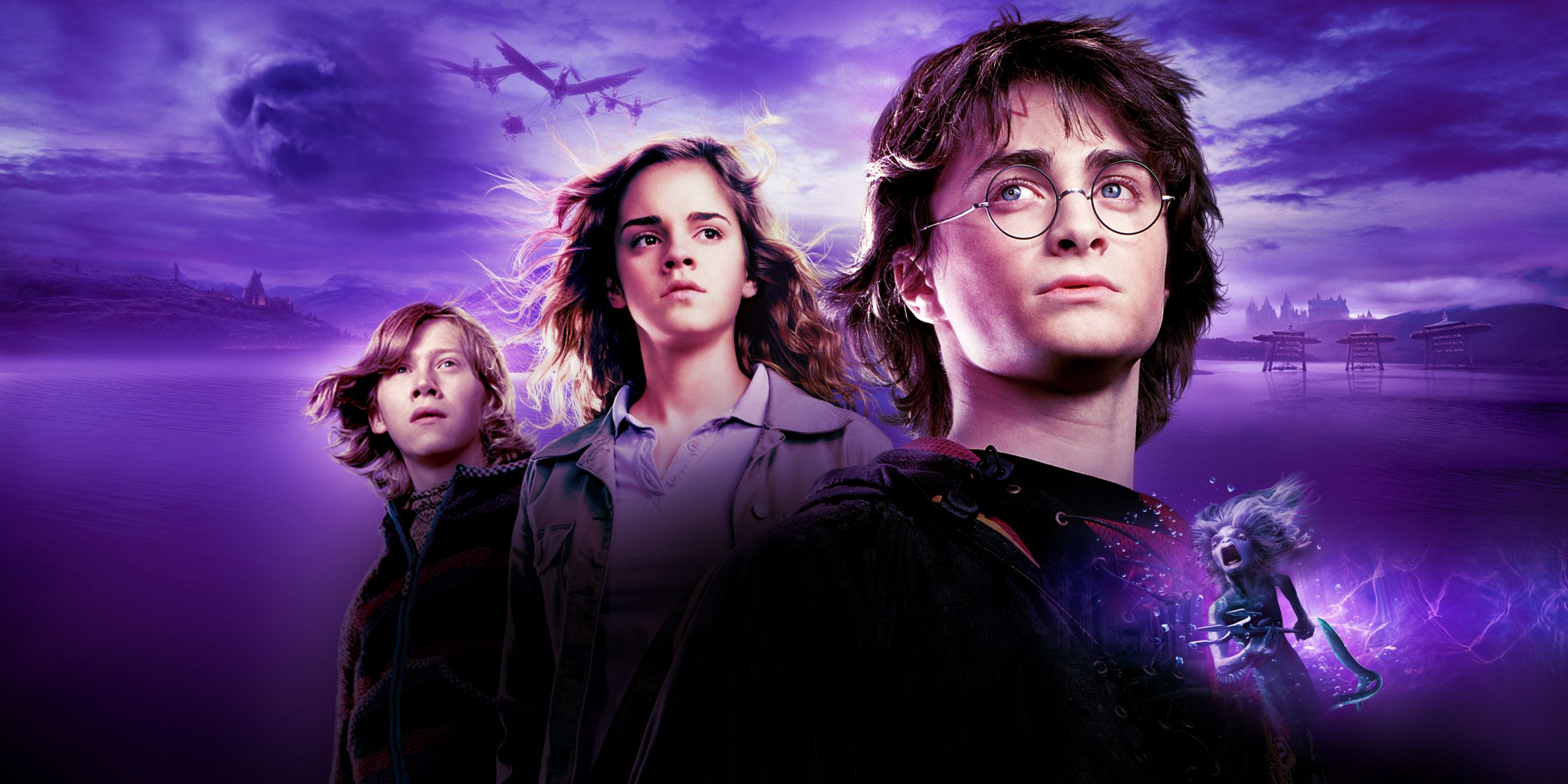 Harry potter the 4 store